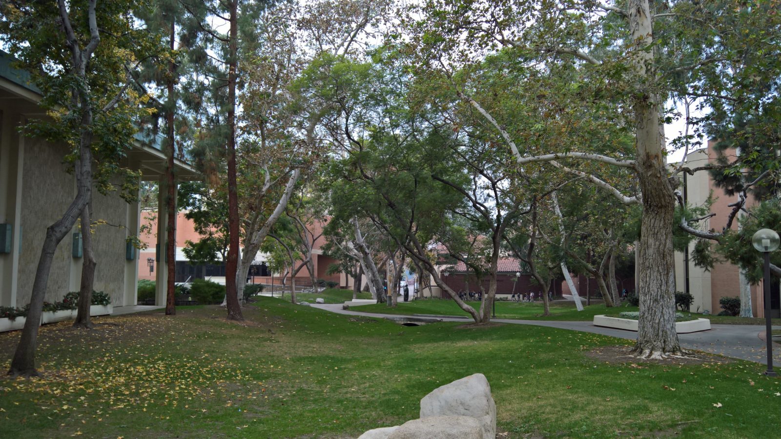 USC University Park Campus – Cello Expressions Photography