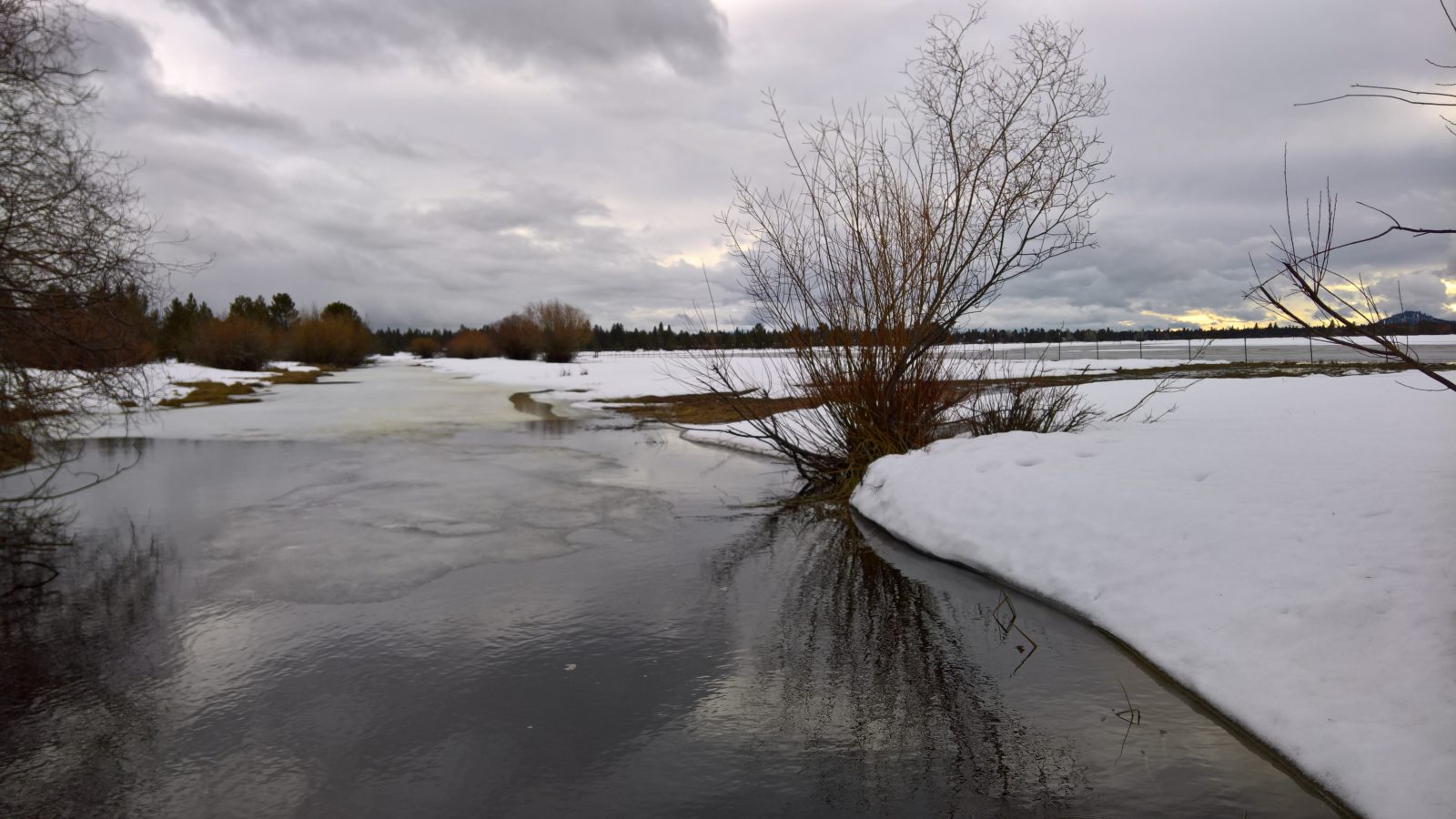 Sunriver Snow, 2017 – Cello Expressions Photography