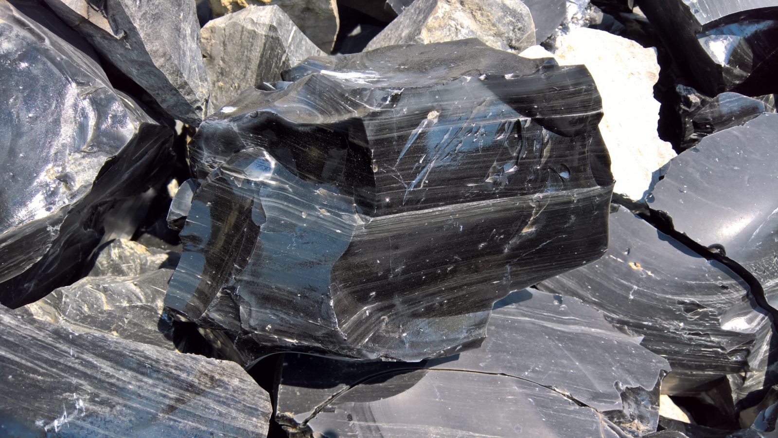 Obsidian & Natural Bonsai – Cello Expressions Photography